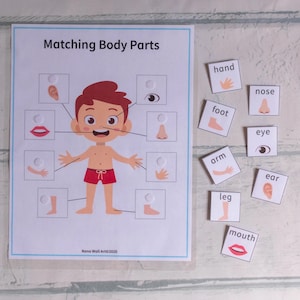 Body Parts Matching Game: Homeschool Learning Activity (digital File ...