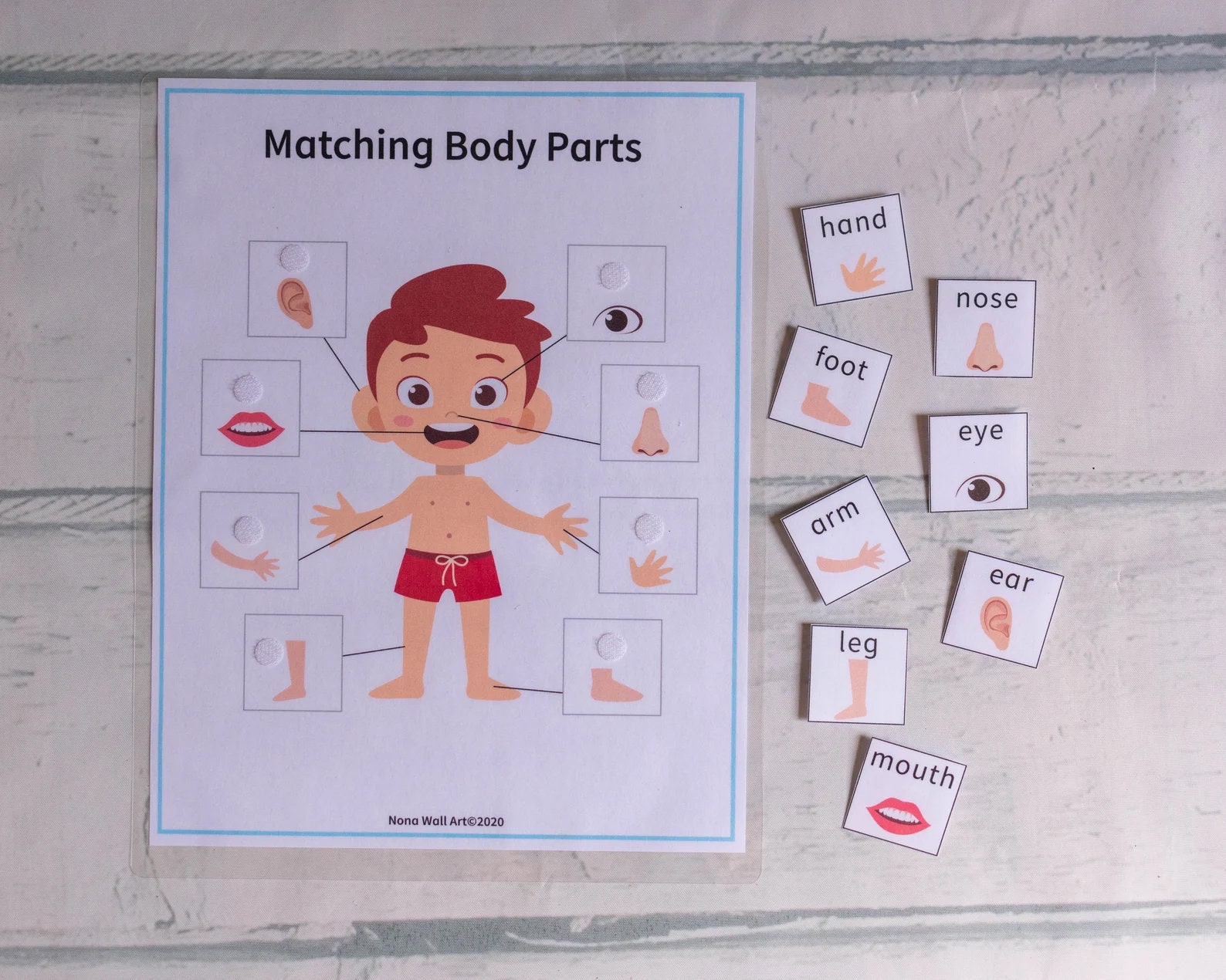 Body Parts Matching Game: Homeschool Learning Activity (digital File ...