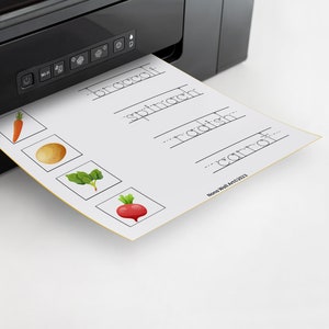 Fruit & Vegetable Matching N Tracing Activity, Homeschool Educational ...