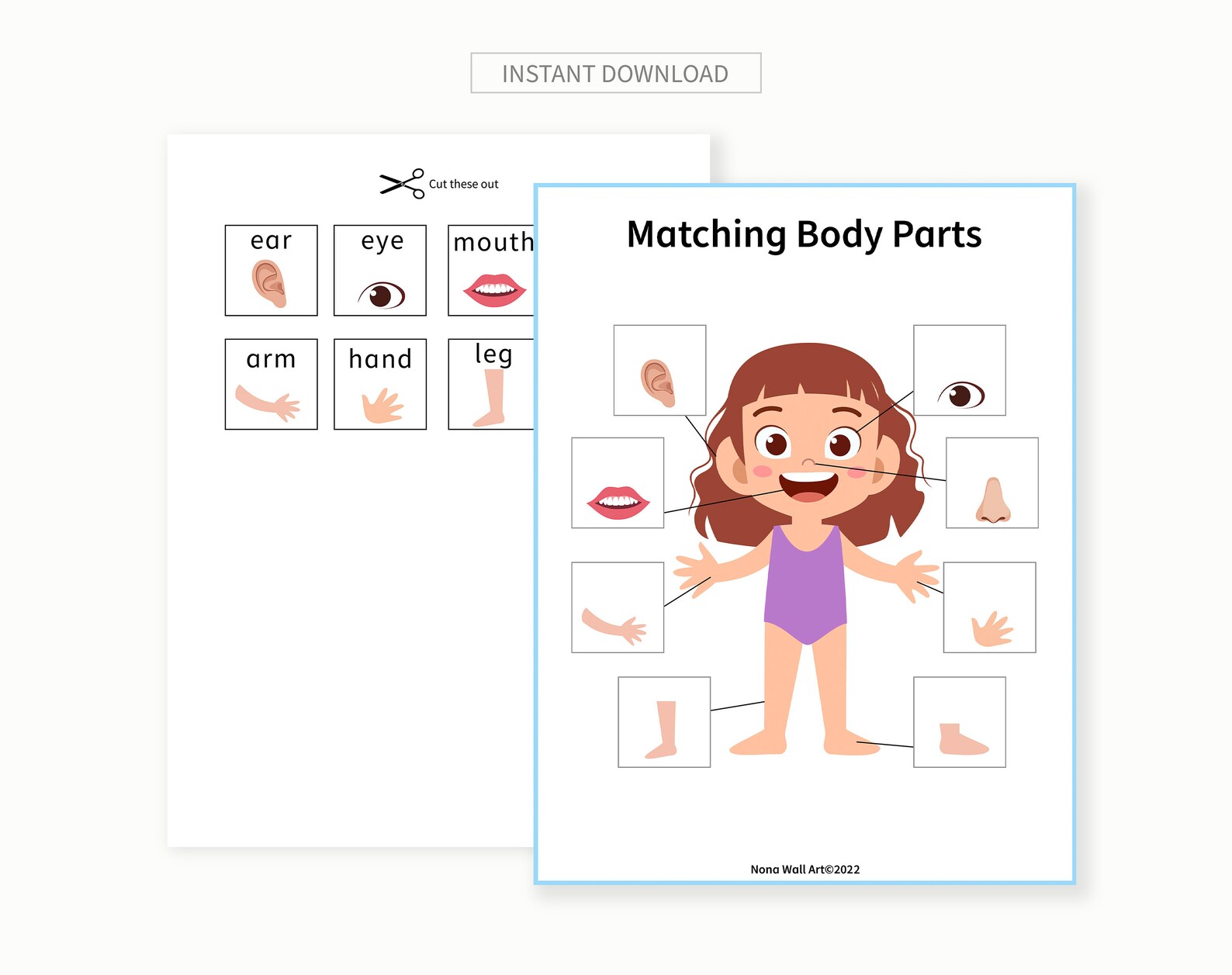 Girl Body Parts Matching Game: Homeschool Learning Activity (digital ...