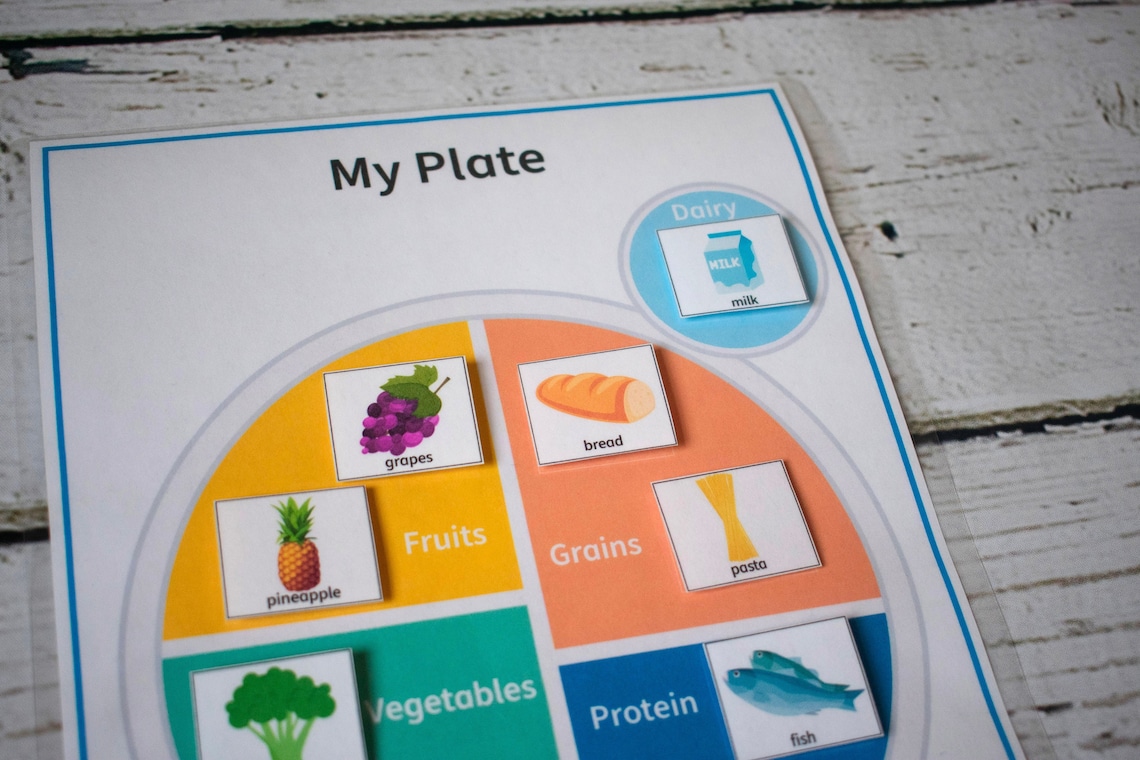 Food Groups Sorting Worksheet Busy Book Printable Homeschool - Etsy