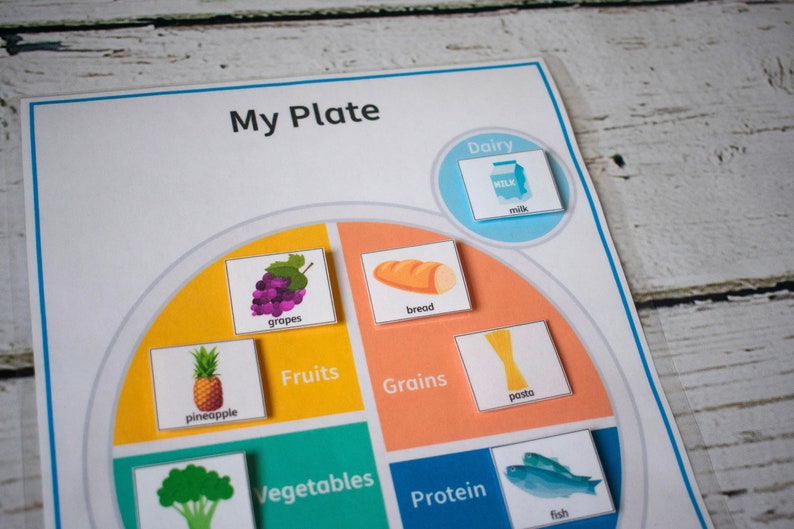 Food Groups Sorting Worksheet Busy Book Printable Homeschool - Etsy