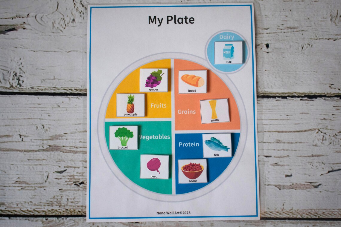 Food Groups Sorting Worksheet Busy Book Printable Homeschool - Etsy