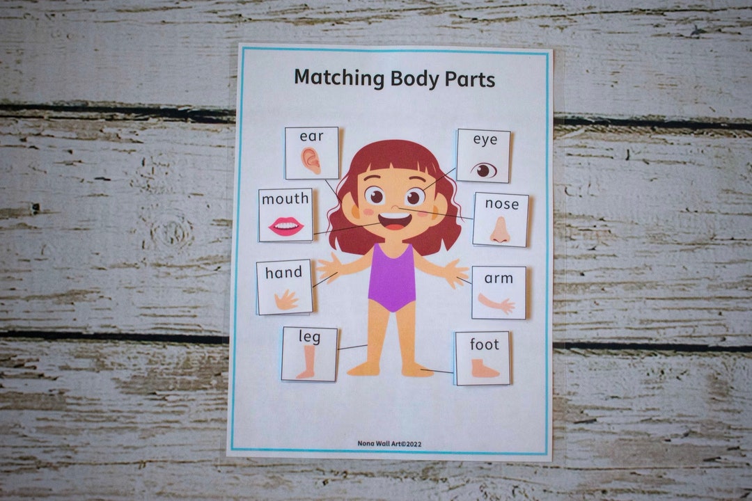 Girl Body Parts Matching Game, Homeschool Educational Worksheet ...