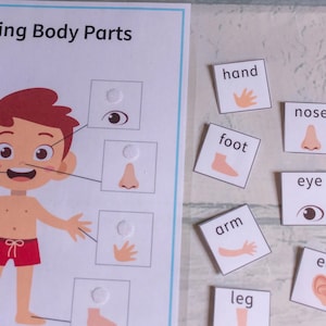 Body Parts Matching Game: Homeschool Learning Activity (digital File ...