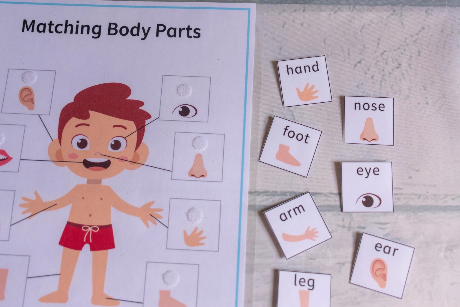 Body Parts Matching Game: Homeschool Learning Activity (digital File ...
