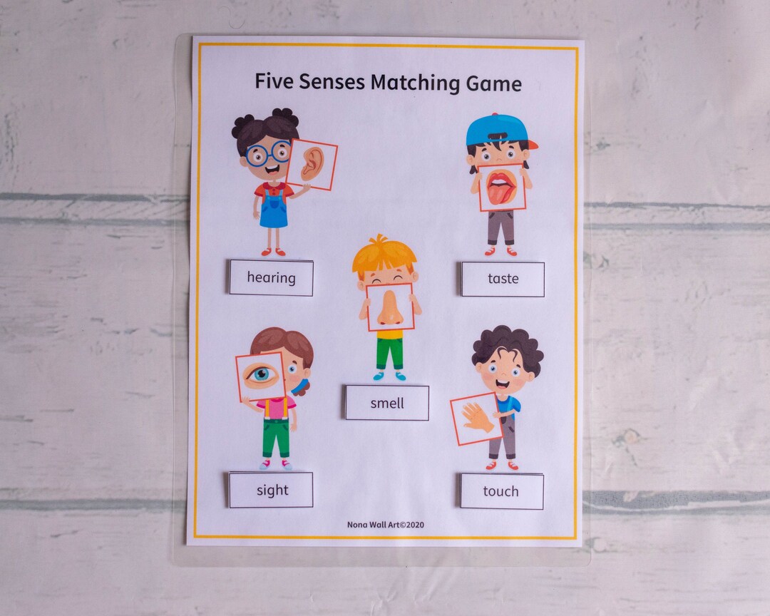 Five Senses Matching, Homeschool Educational Worksheet, Learning ...