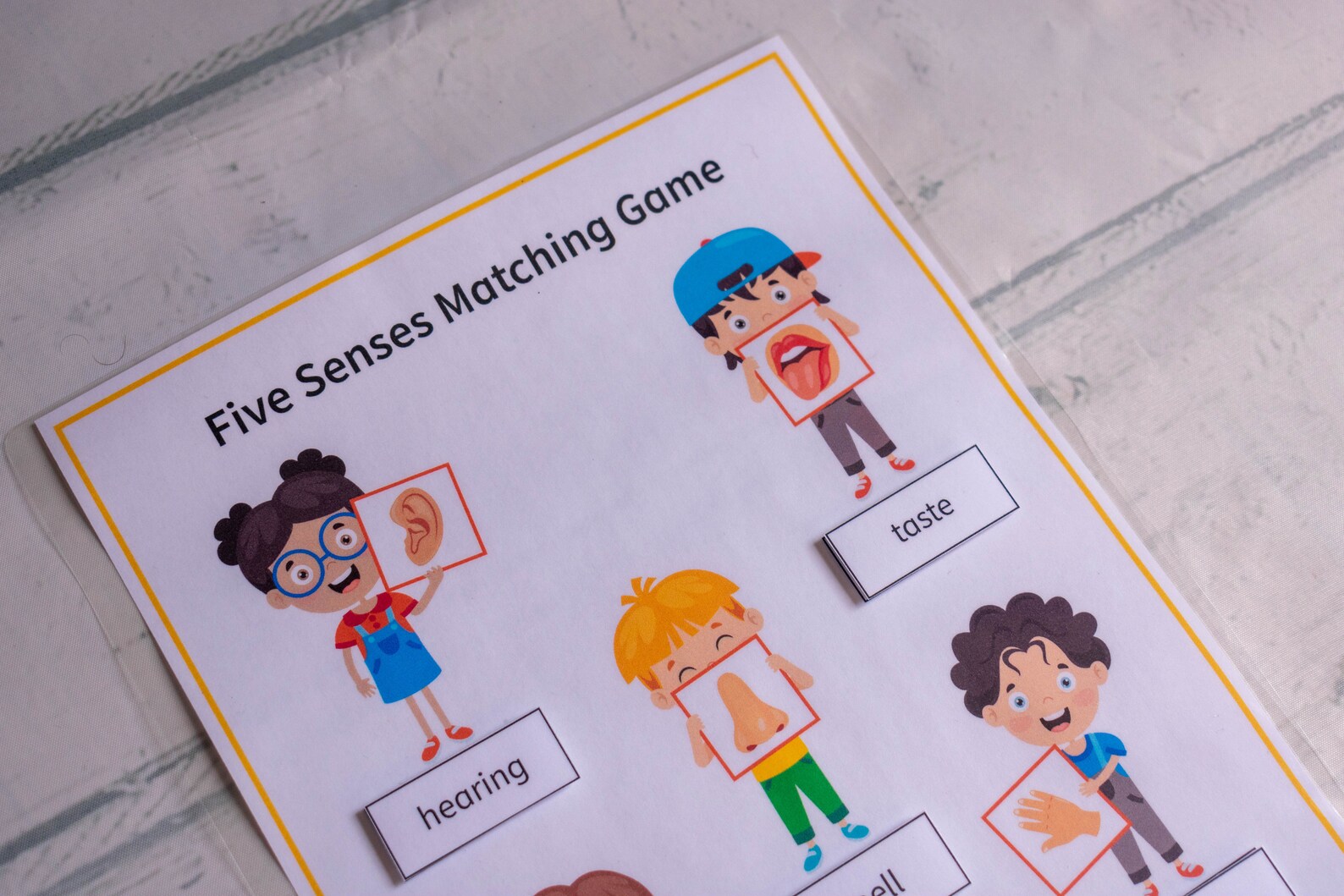 Five Senses Matching Homeschool Educational Worksheet | Etsy