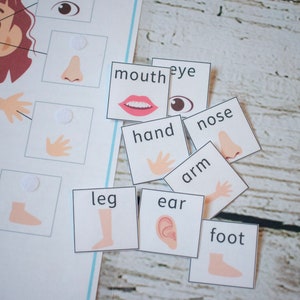 Girl Body Parts Matching Game, Homeschool Educational Worksheet ...
