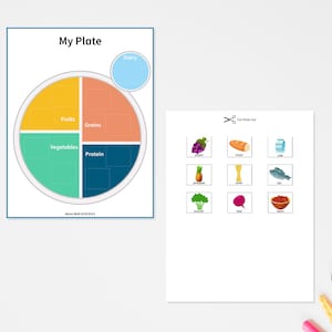 Food Groups Sorting Worksheet Busy Book Printable Homeschool - Etsy
