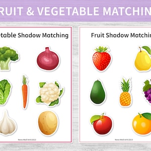 Fruit & Vegetable Matching Activity, Visual Discrimination for ...