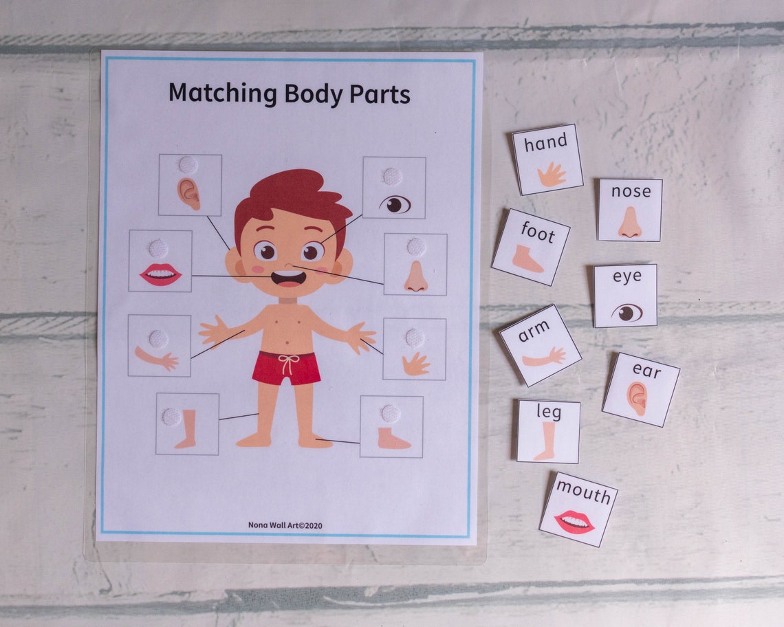 Body Parts Matching Game Homeschool Educational Worksheet - Etsy