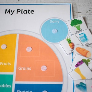 Food Groups Sorting Worksheet Busy Book Printable Homeschool - Etsy