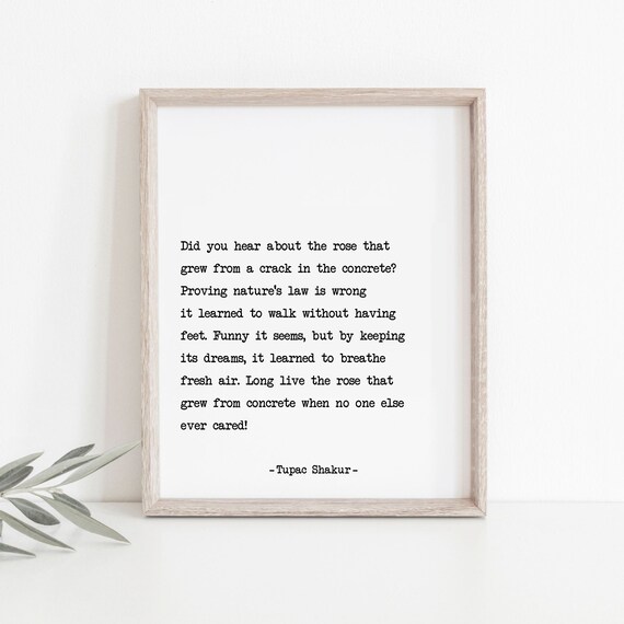 2pac The Rose That Grew From Concrete Poems