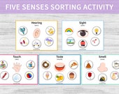 Five Senses Sorting Activity for Homeschool & Preschoolers - Etsy