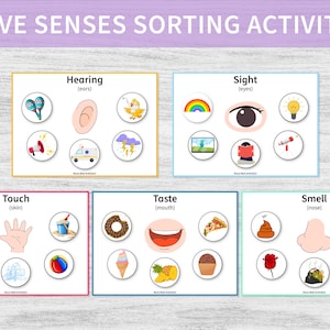 Five Senses Sorting Activity for Homeschool & Preschoolers, Printable ...