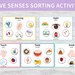 Five Senses Sorting Activity for Homeschool & Preschoolers, Printable ...