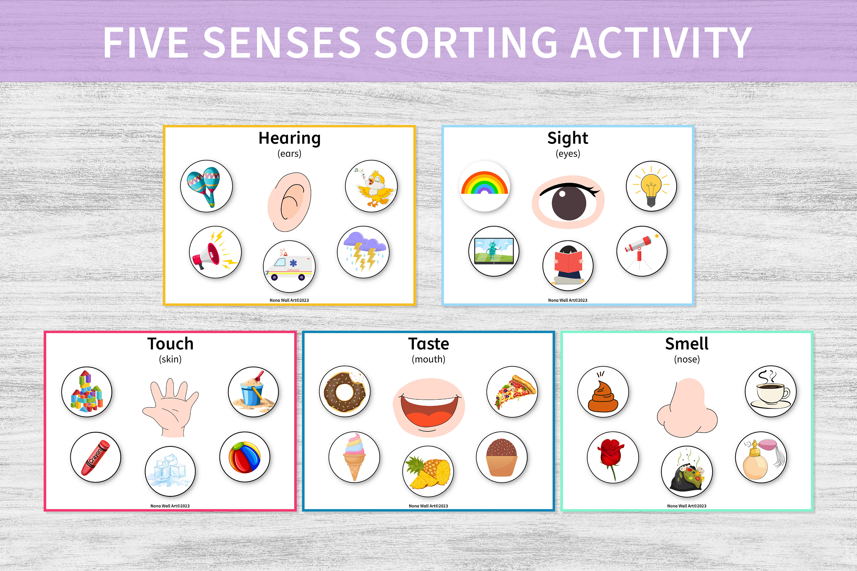 Hojas De Trabajo De Los Cinco Sentidos Para Preescolar 5 Sentidos