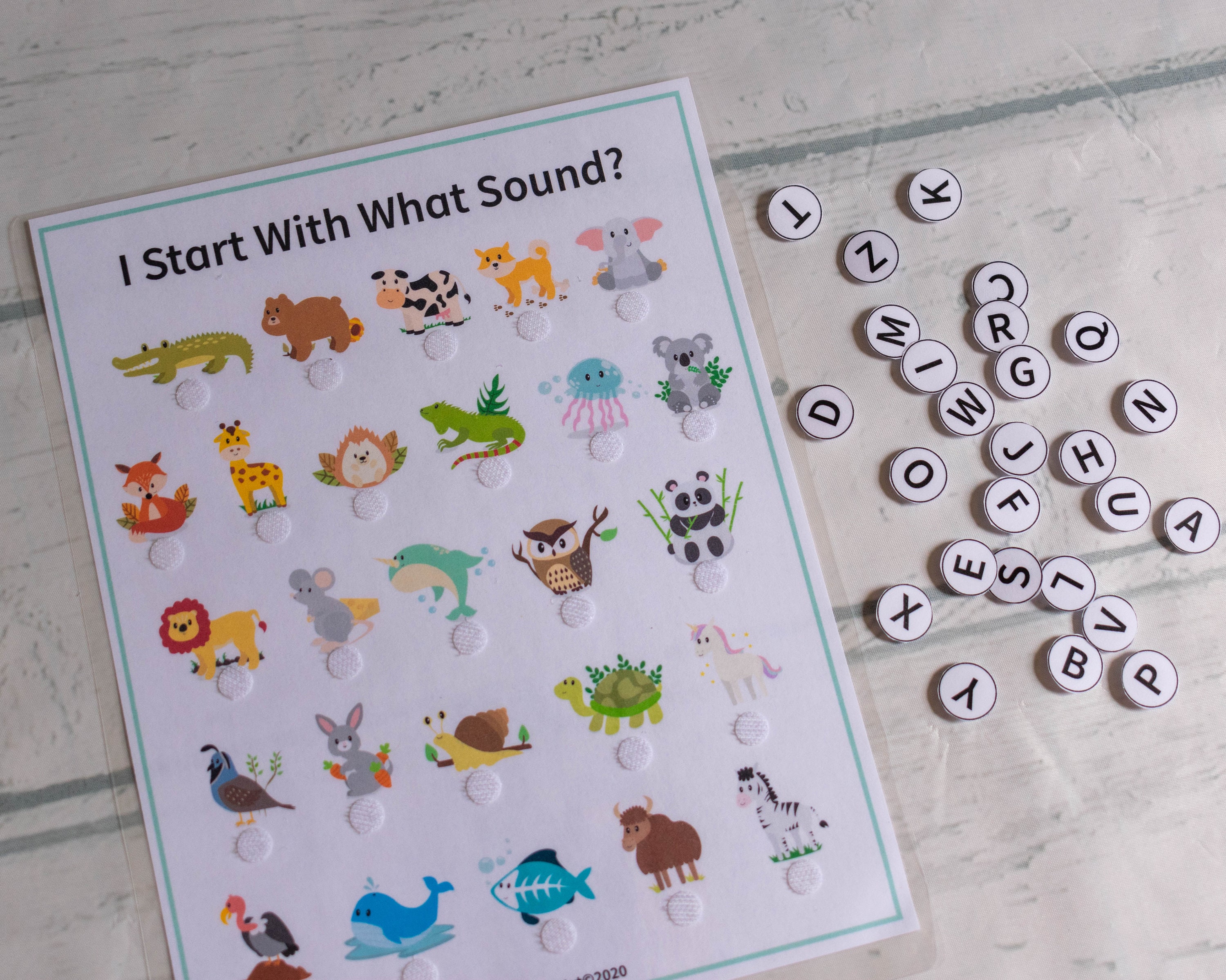 Educational Activity Beginning Sounds Homeschool Printable - Etsy