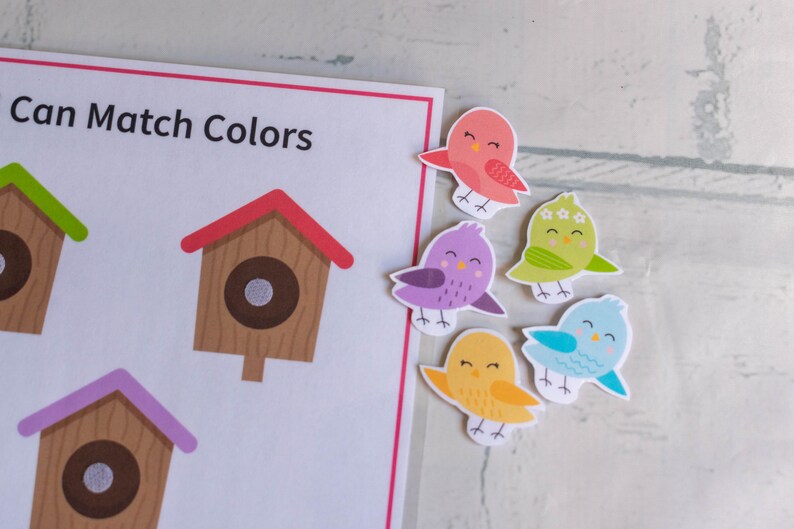 Educational Activity Colors Matching Game Homeschool - Etsy