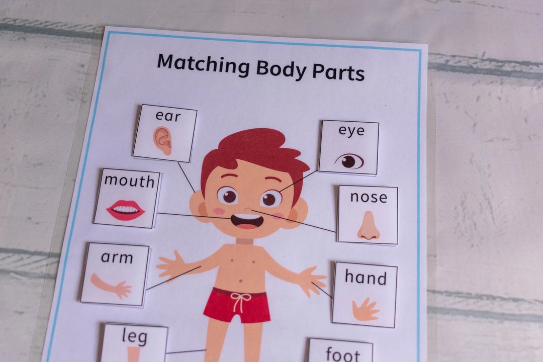 Body Parts Matching Game: Homeschool Learning Activity (digital File ...