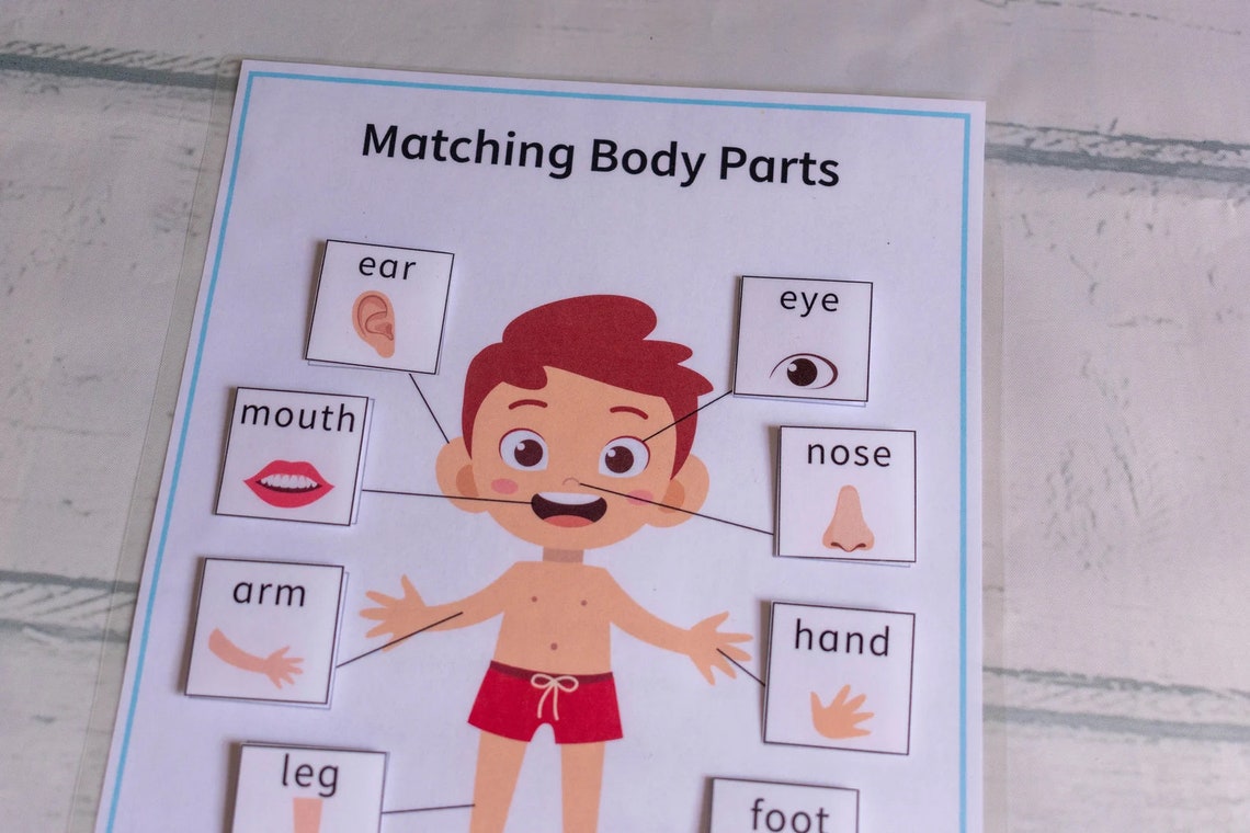 Body Parts Matching Game: Homeschool Learning Activity (digital File ...
