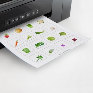 Fruit & Vegetable Sorting Activity, Homeschool Educational Worksheet ...