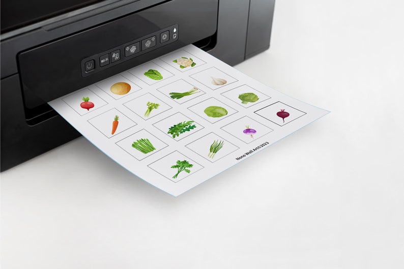 Fruit & Vegetable Sorting Activity Homeschool Educational - Etsy