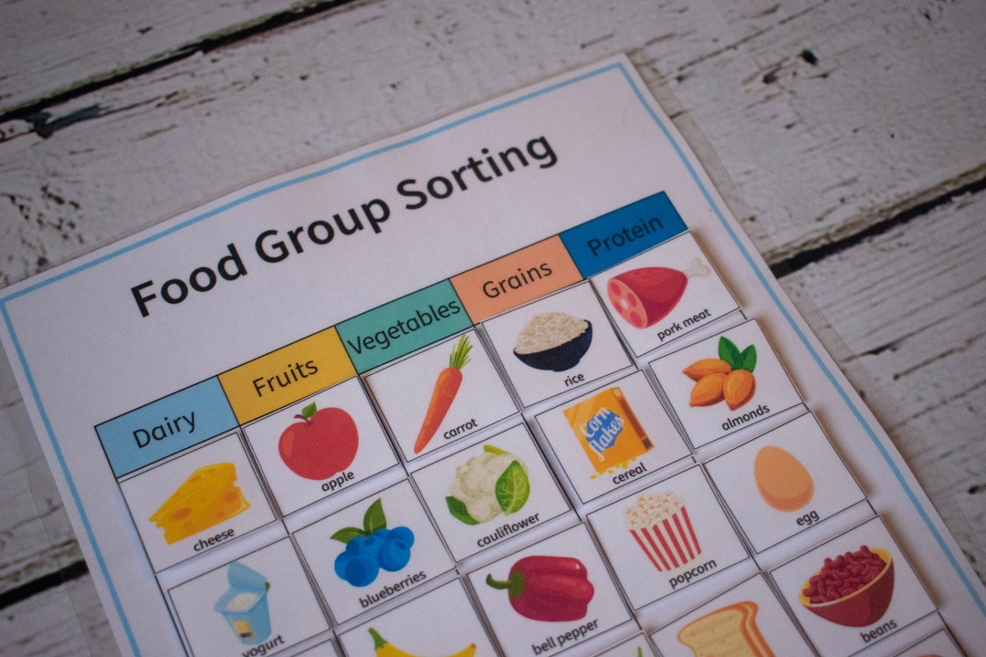 Food Groups Sorting Worksheet, Busy Book Printable, Homeschool Activity, Learning Binder for ...