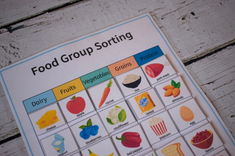 Food Groups Sorting Worksheet Busy Book Printable Homeschool - Etsy