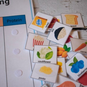 Food Groups Sorting Worksheet, Busy Book Printable, Homeschool Activity ...
