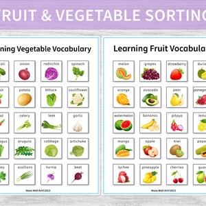 Fruit & Vegetable Sorting Activity, Homeschool Educational Worksheet ...