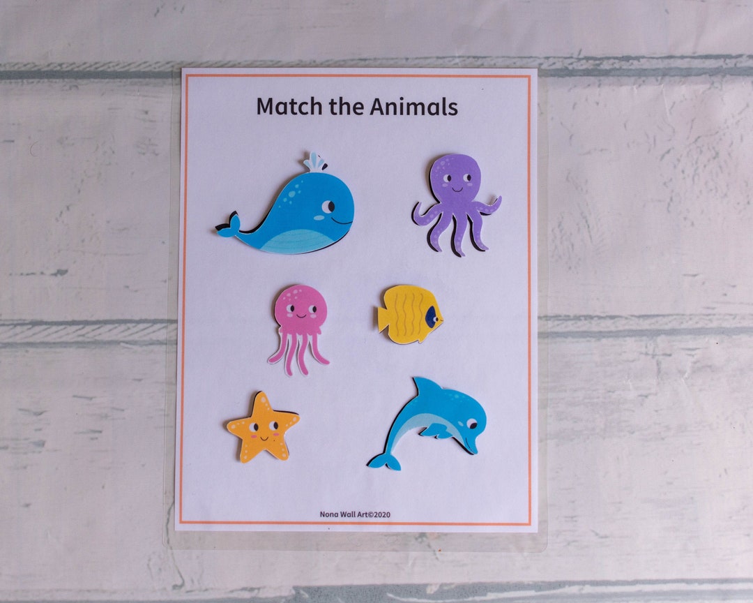 Educational Activity, Visual Discrimination Matching Game, Homeschool ...