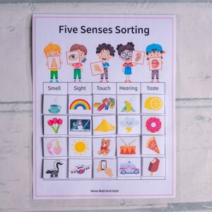 Five Senses Sorting Activity, Homeschool Educational Worksheet ...