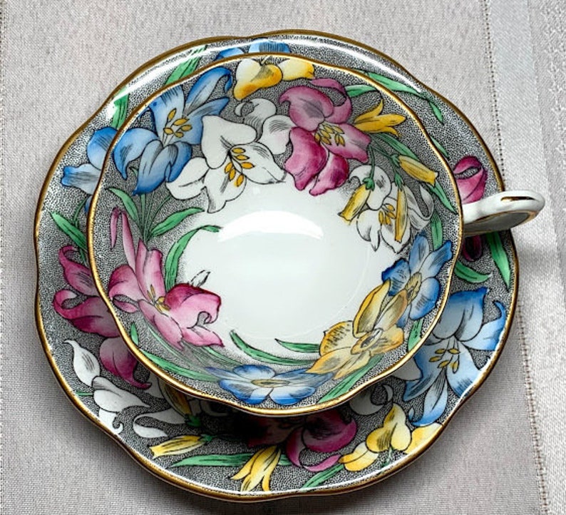 Rosina, Bone China, Tiger + Day Lilies, Spring Bulbs, Teacup & Saucer ...