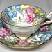 Rosina, Bone China, Tiger + Day Lilies, Spring Bulbs, Teacup & Saucer ...