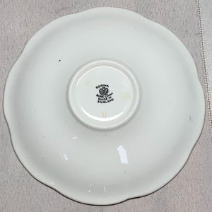 Rosina, Bone China, Tiger + Day Lilies, Spring Bulbs, Teacup & Saucer ...