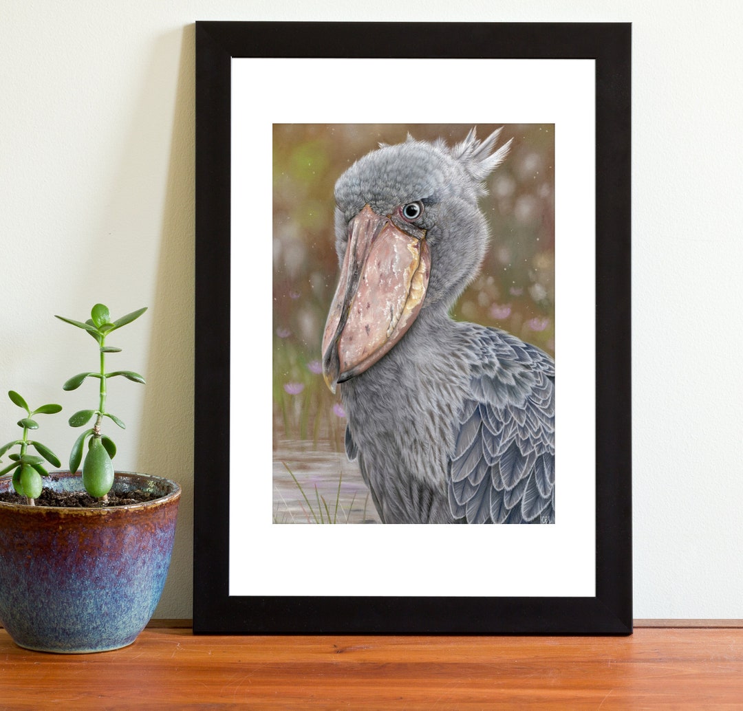Shoebill Stork Bird Wildlife Pastel Art Print Multiple Sizes (8x6 or ...
