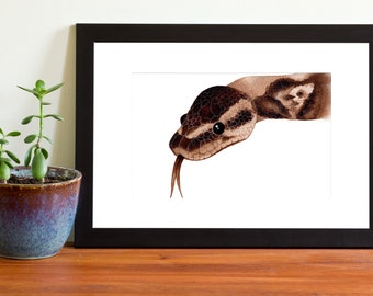 Python Print | Etsy
