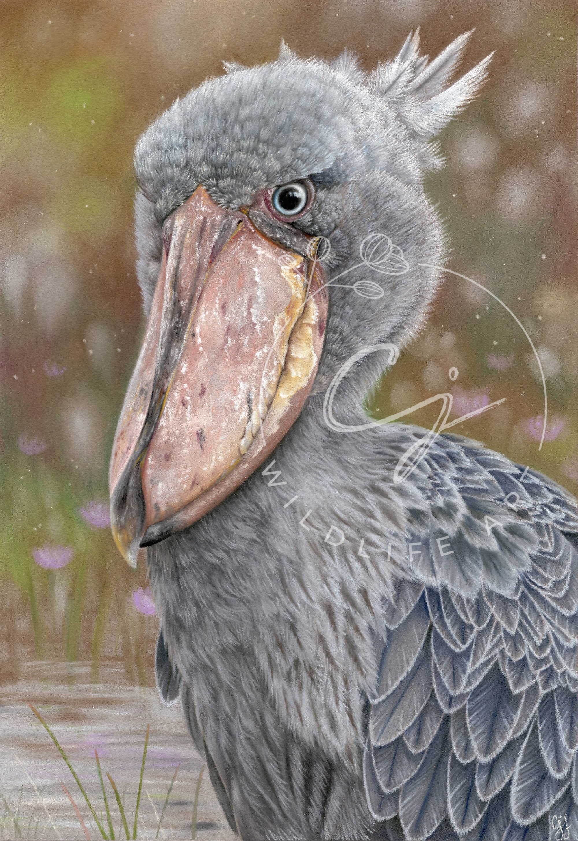 Shoebill Stork Bird Wildlife Pastel Art Print Multiple Sizes (8x6 or ...