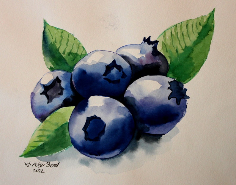 Original Ink and Watercolor Drawing of a Bunch of Blueberries. 9x6 ...