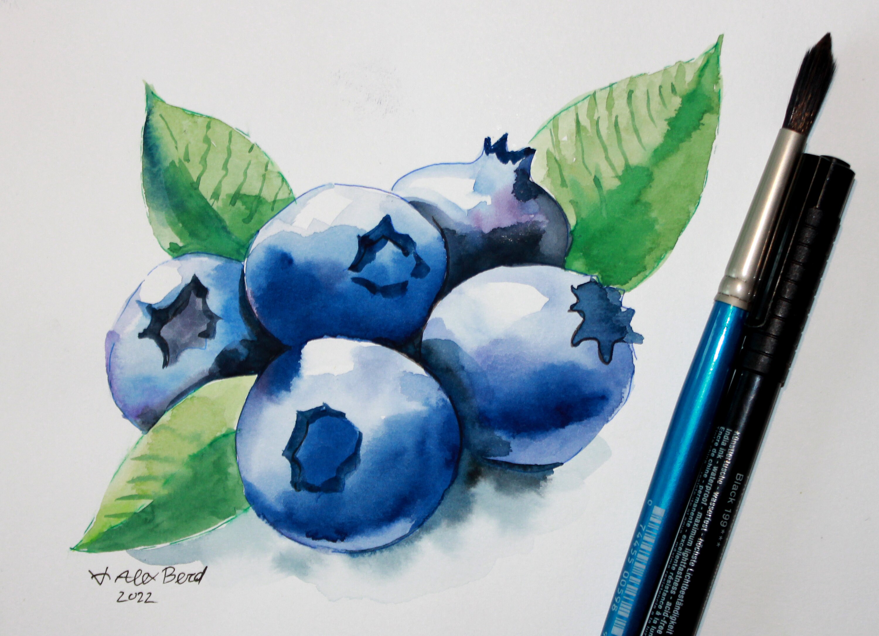 Original Ink and Watercolor Drawing of a Bunch of Blueberries. 9x6 ...