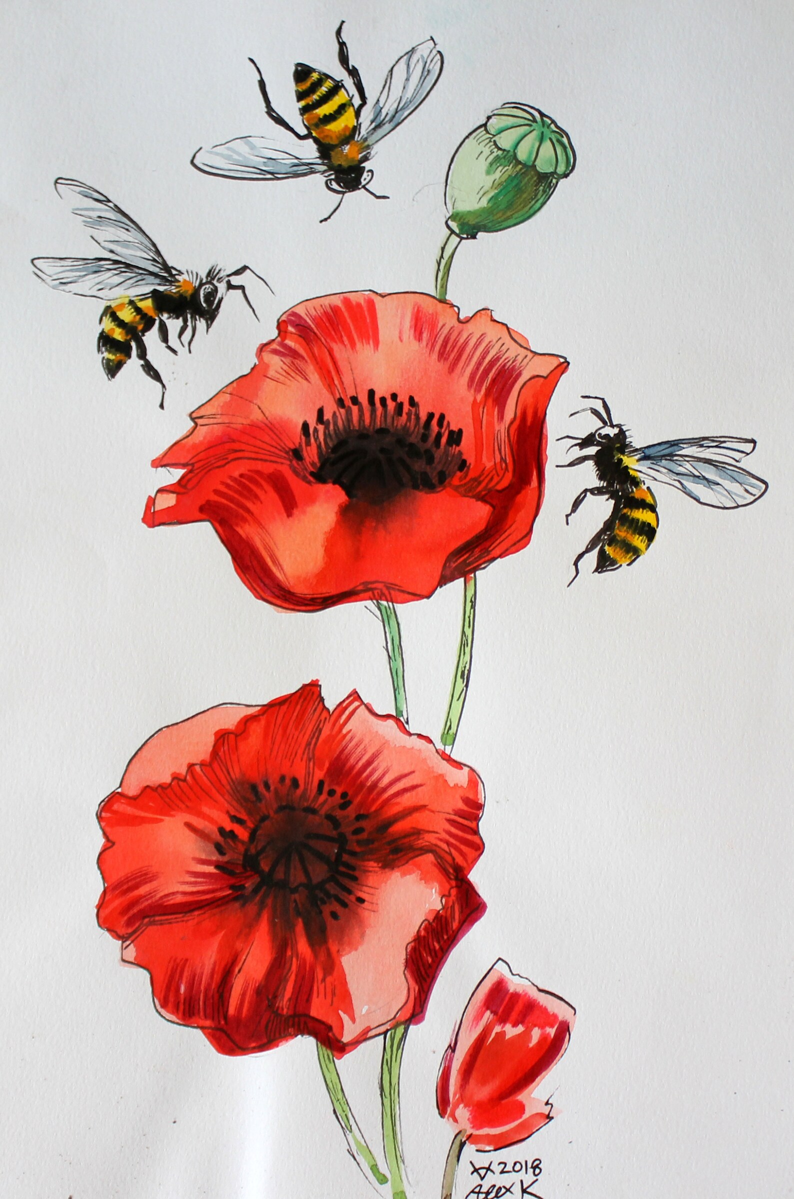 Red Poppies and Bees. Original Drawing - Etsy