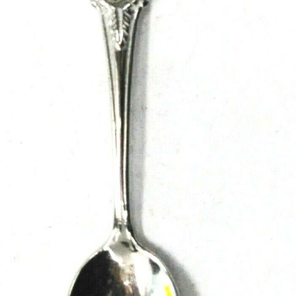 Texas Souvenir Spoon - Etsy