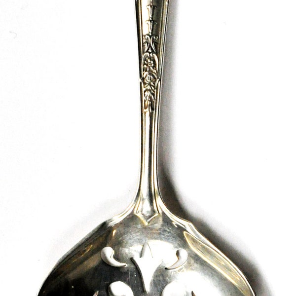 Bon Bon Server - Etsy