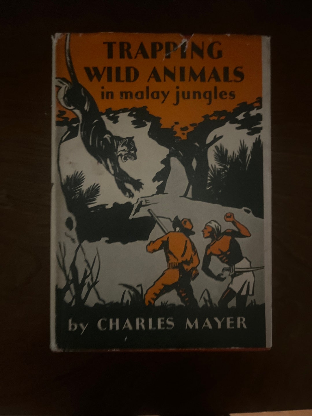 Trapping Wild Animals in Malay Jungles, Charles Mayer - 1921 - HC W ...