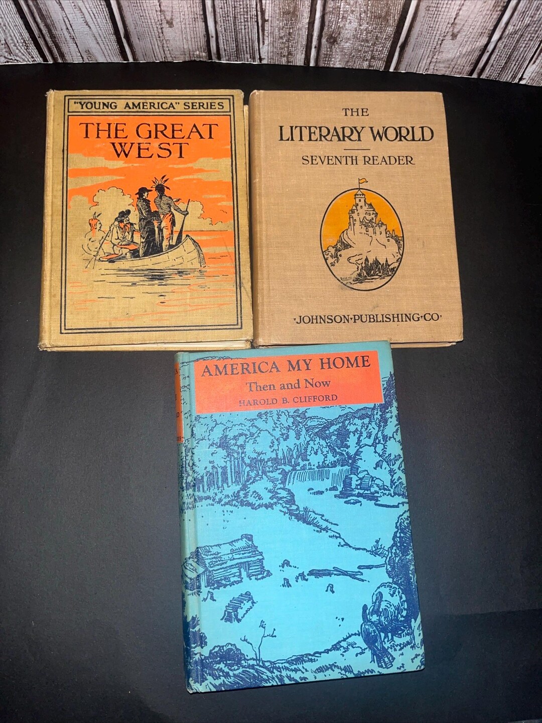Vintage/antique School Books Lot of 3homeschool, Fiction Health ...