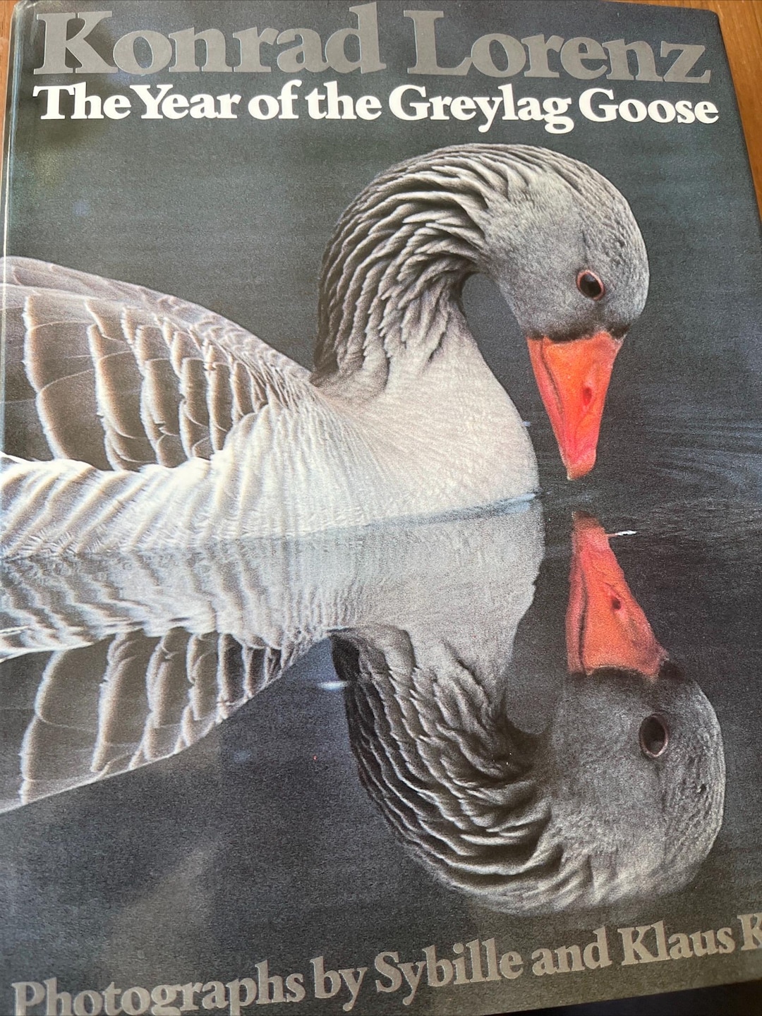 Year of the Greylag Goose, Konrad Lorenz, 1979, 1st US Ed.free Shipping ...