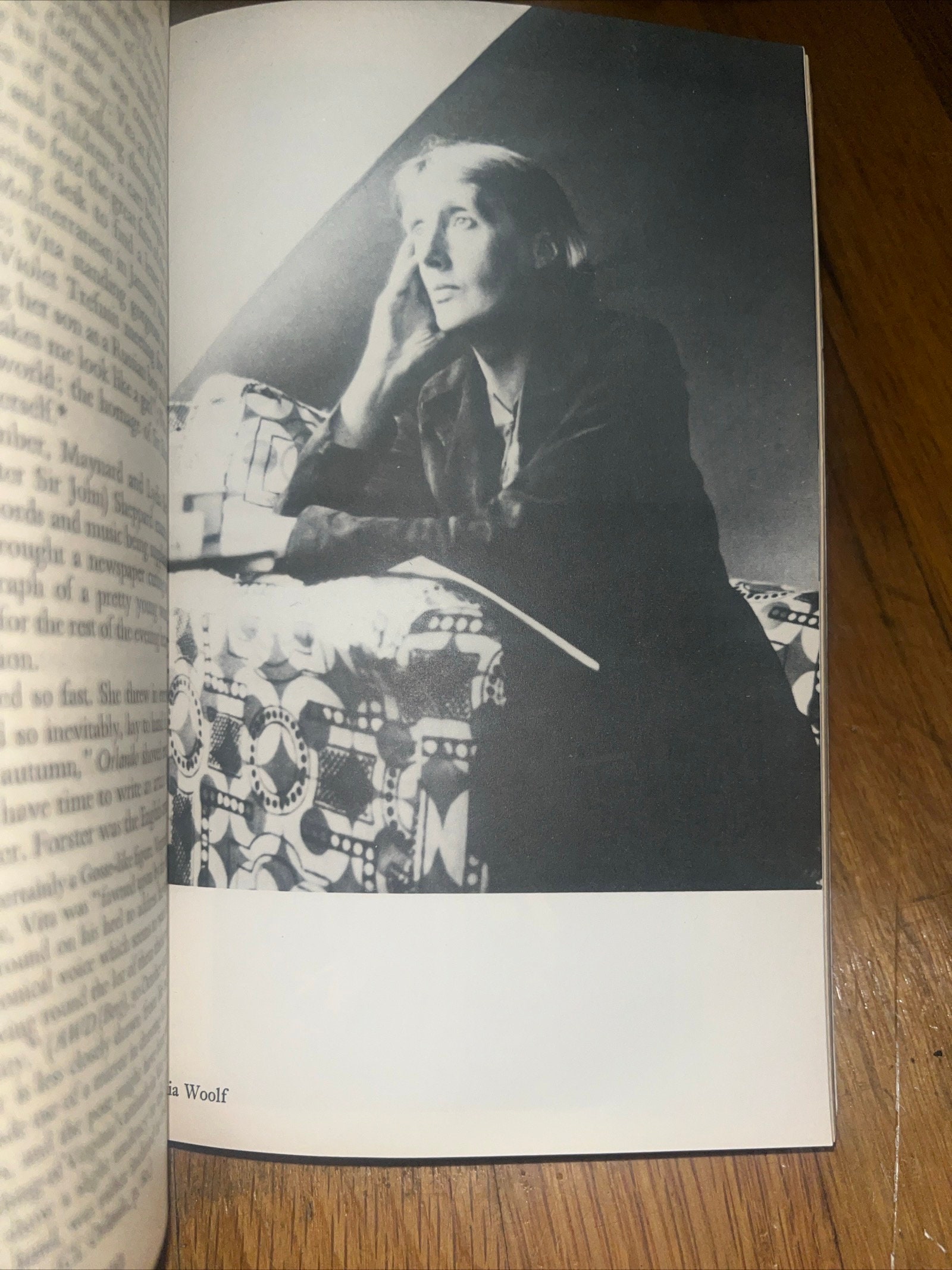 Virginia Woolf by Quentin Bell . Paladin Books 1979 Paperback) Volume 2 ...