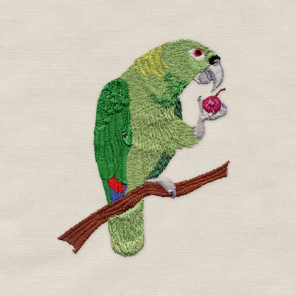 Parrot Quilt Pattern - Etsy